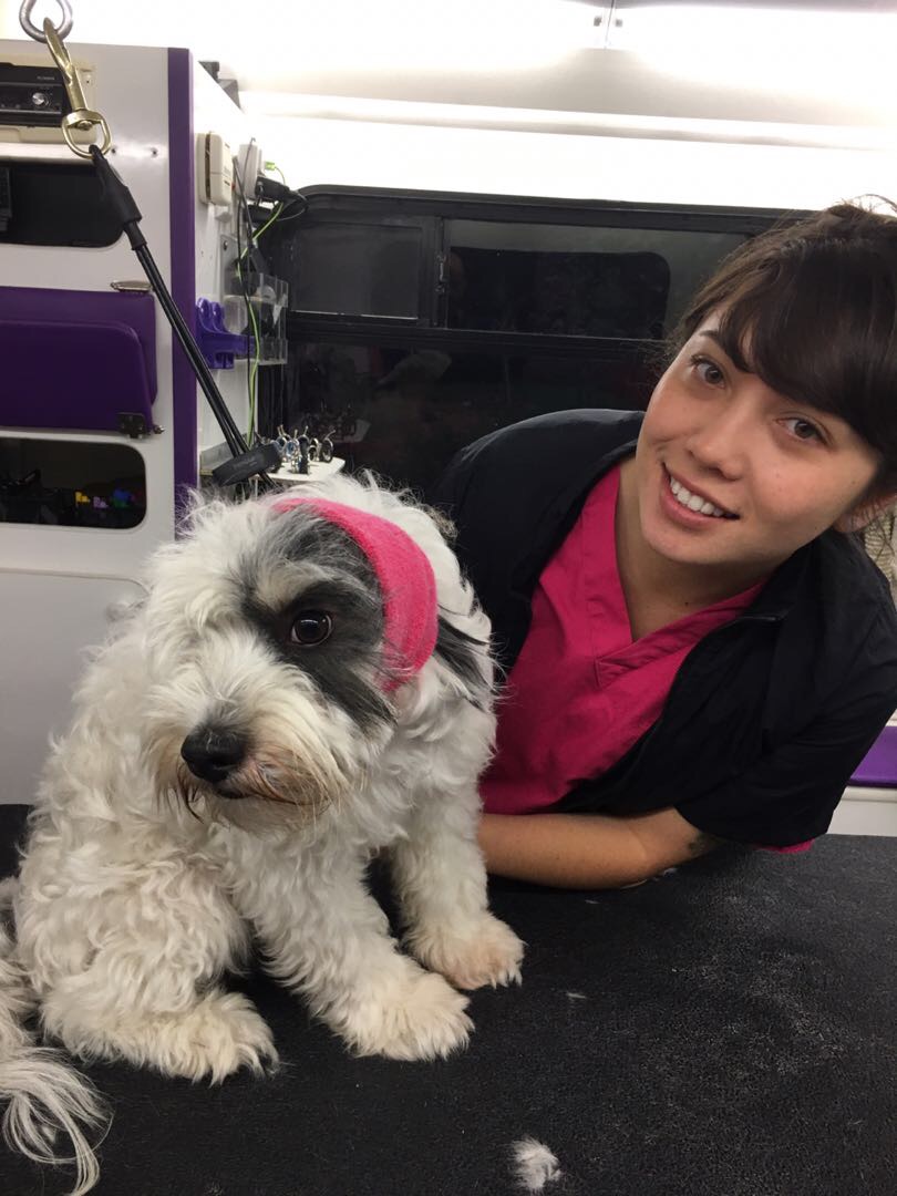 Pampered Paws – Mobile Pet Grooming